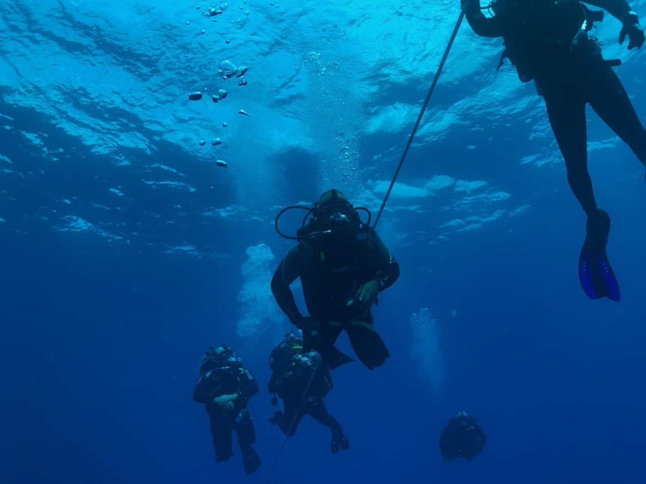 Dive Rescue International | Diving Training, Equipment & Apparel